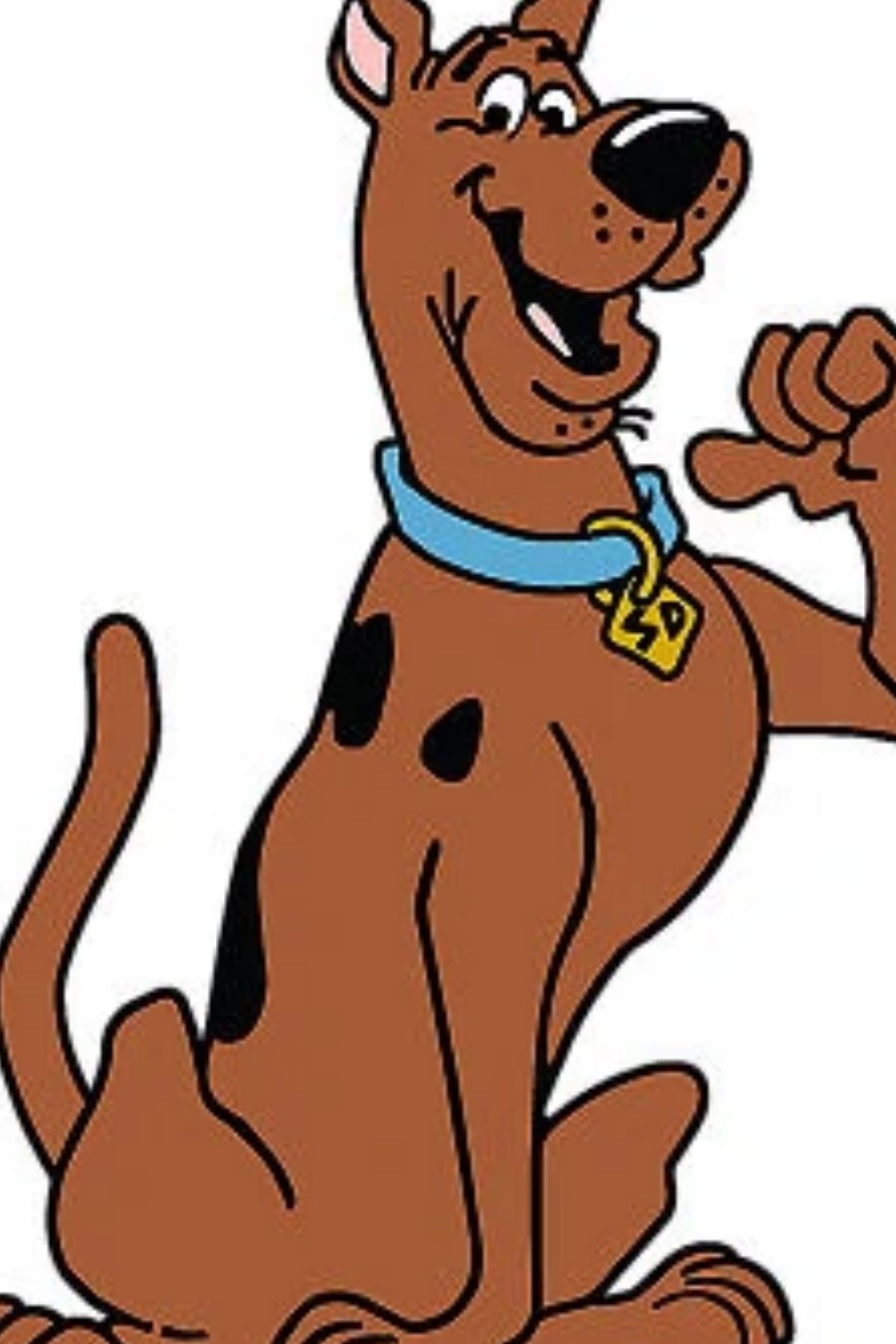 What kind of Dog is Scooby Doo? - Spaniel Dogs